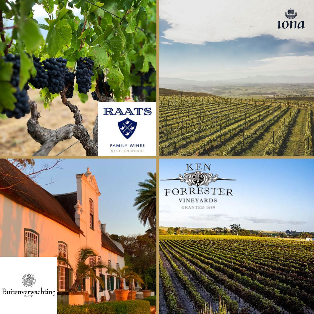 Shop Wine Online - Rainbow Nation Wines